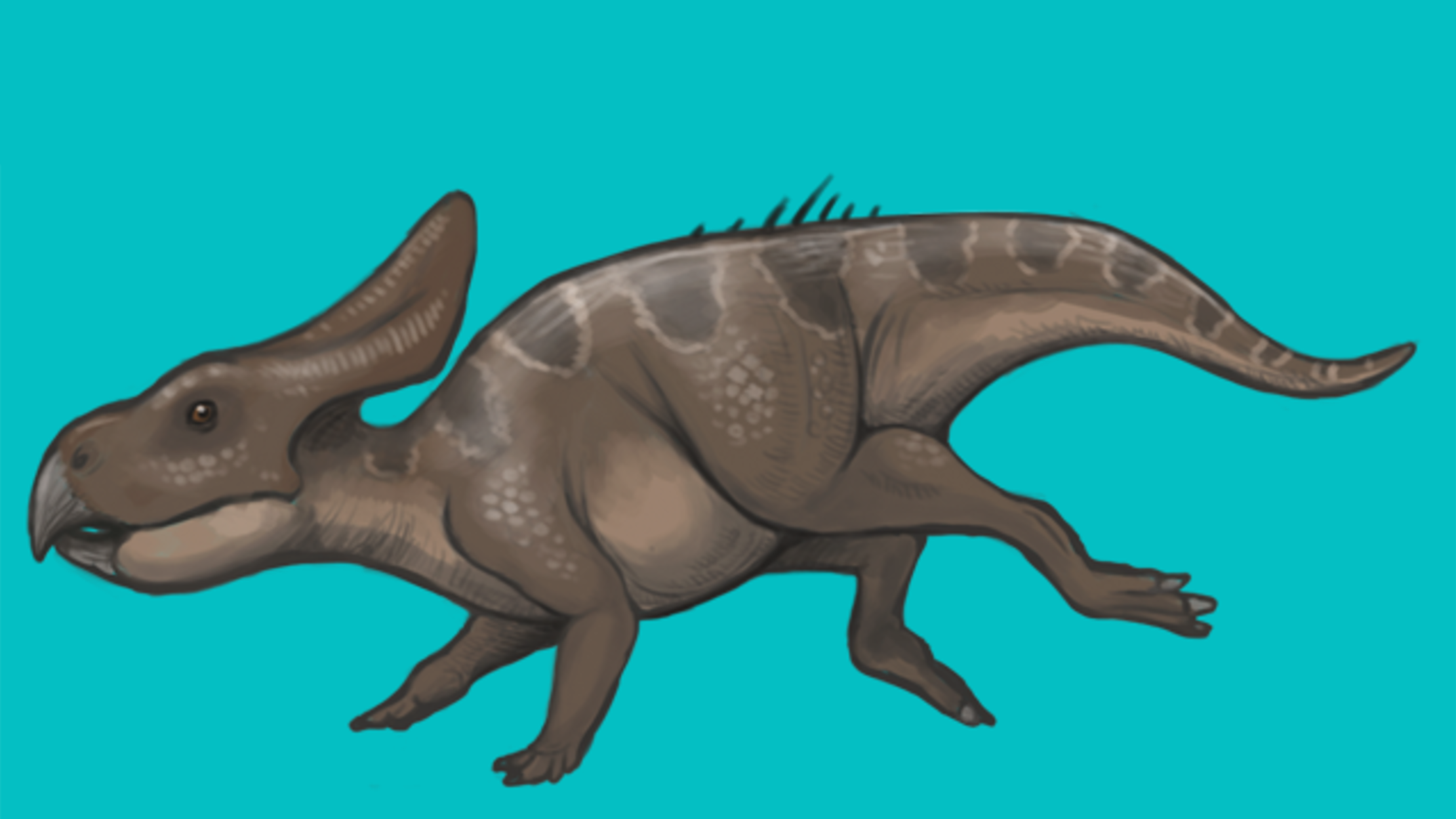 10 Frilled Facts About Protoceratops | Mental Floss