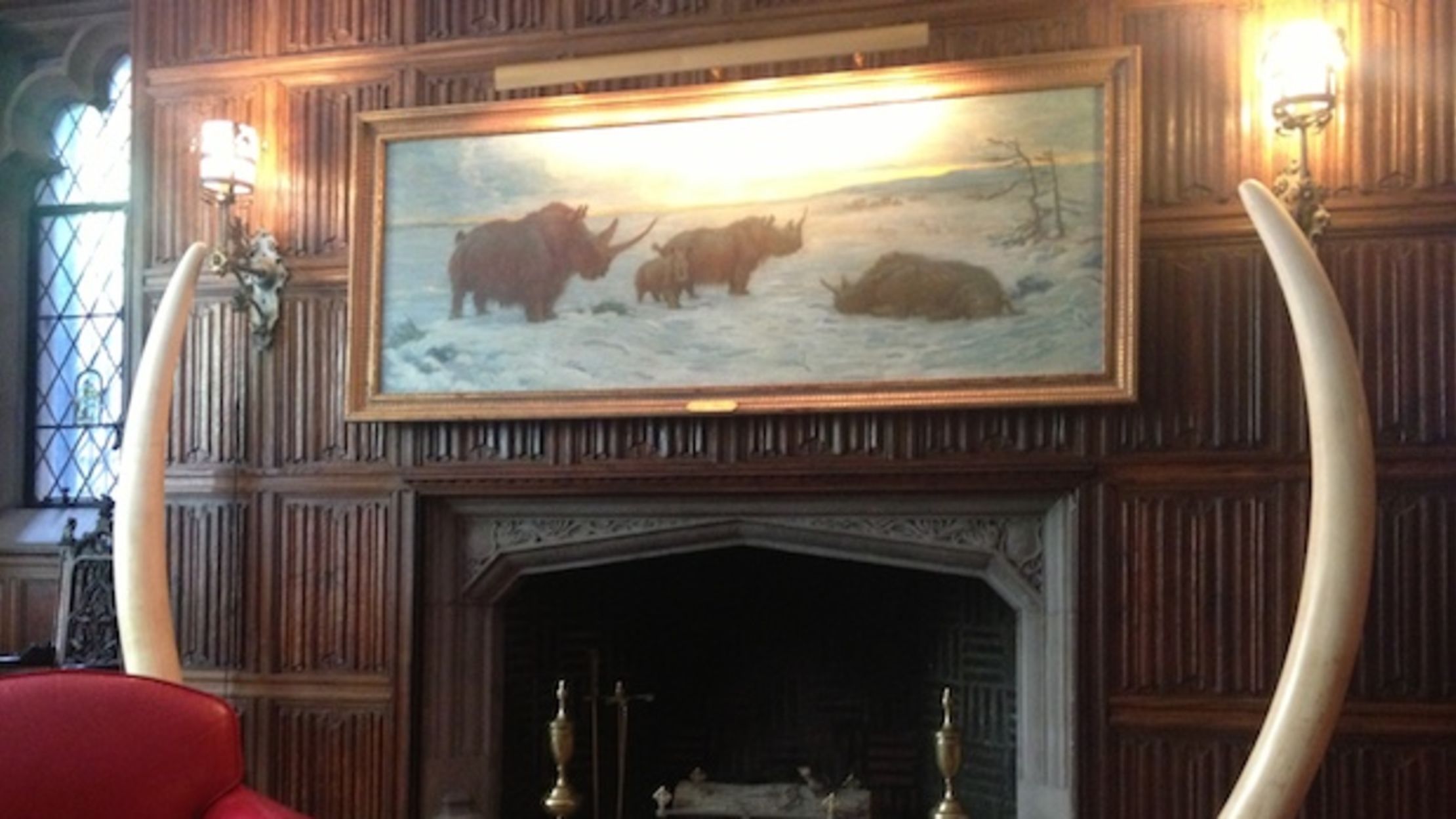 11 Awesome Things You Can See At The Explorers Club | Mental Floss