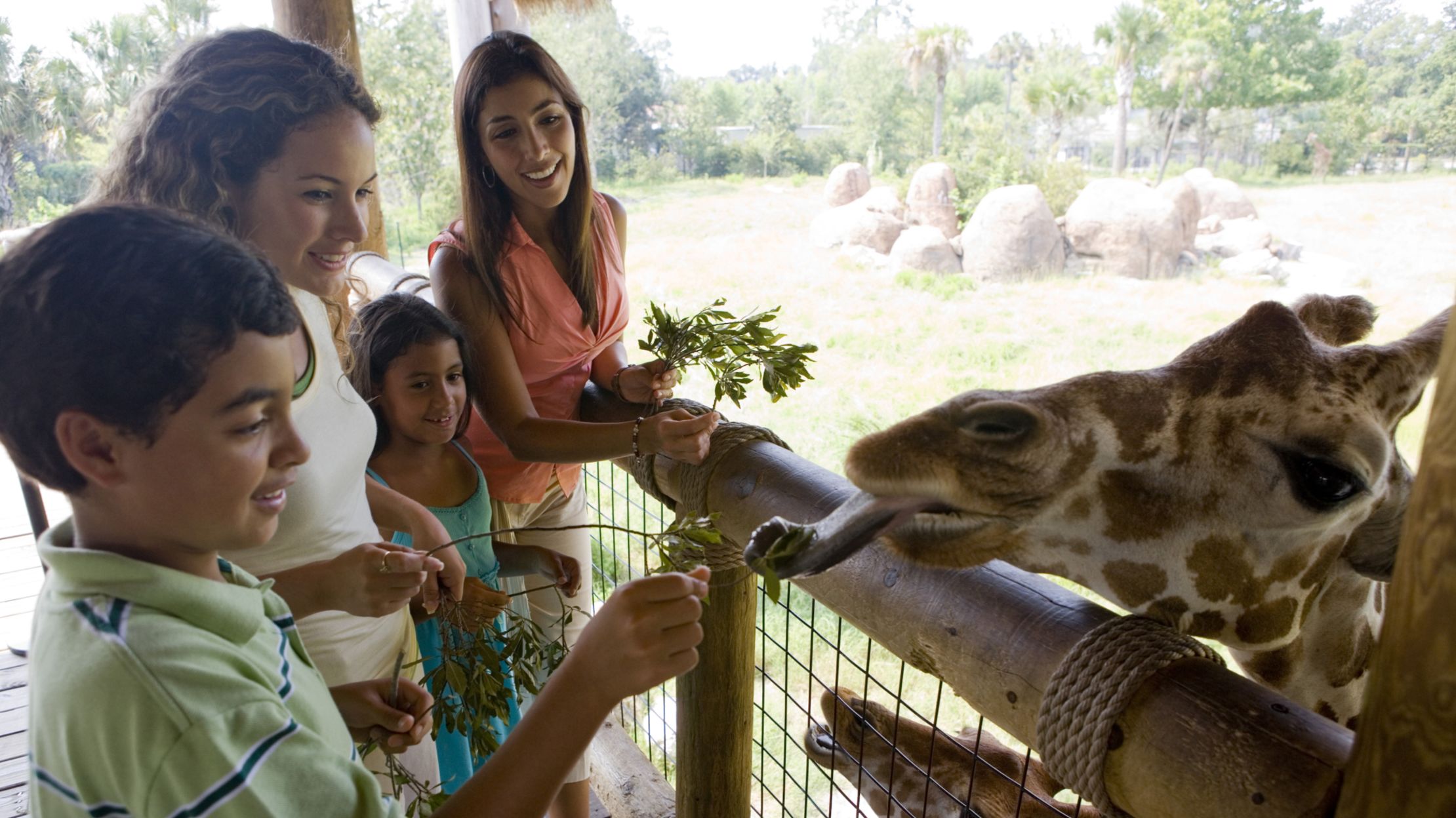 11 Interactive Zoos | Mental Floss