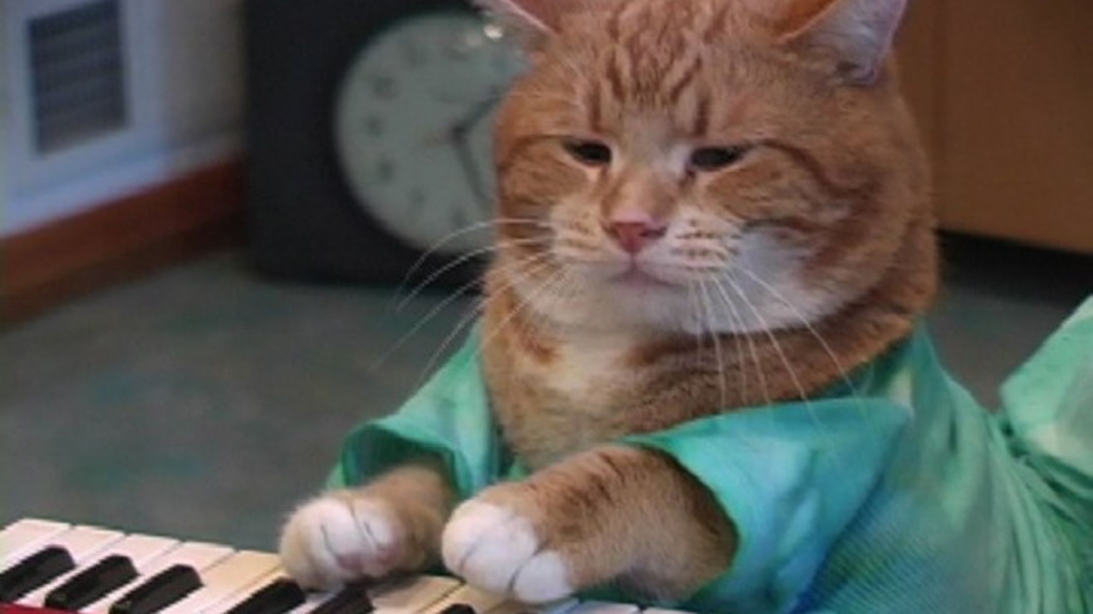 7 Internet Memes Who Sued | Mental Floss 7 Internet Memes Who Sued | Mental Floss