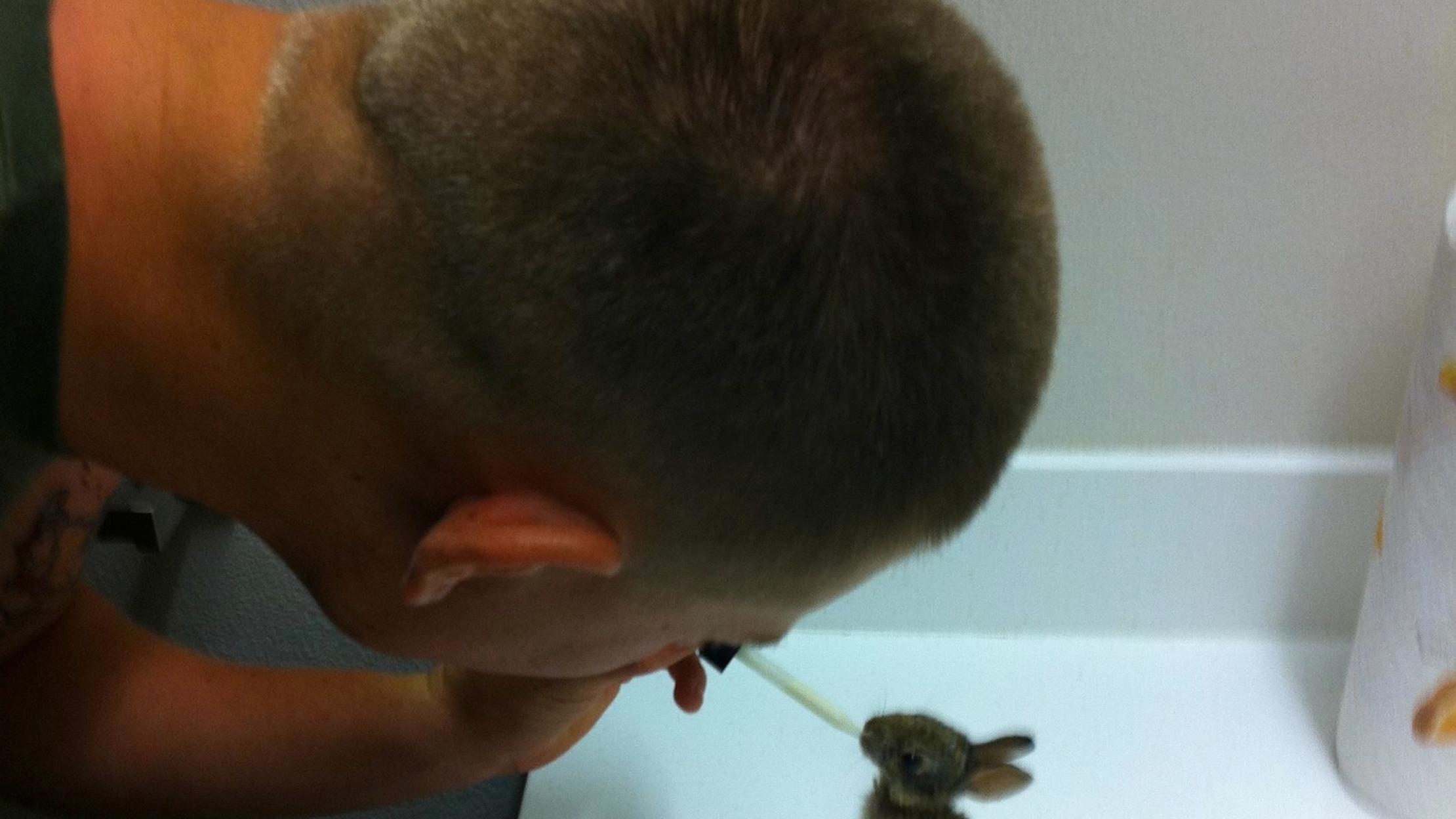 morning-cup-of-links-baby-bunnies-in-the-barracks-mental-floss