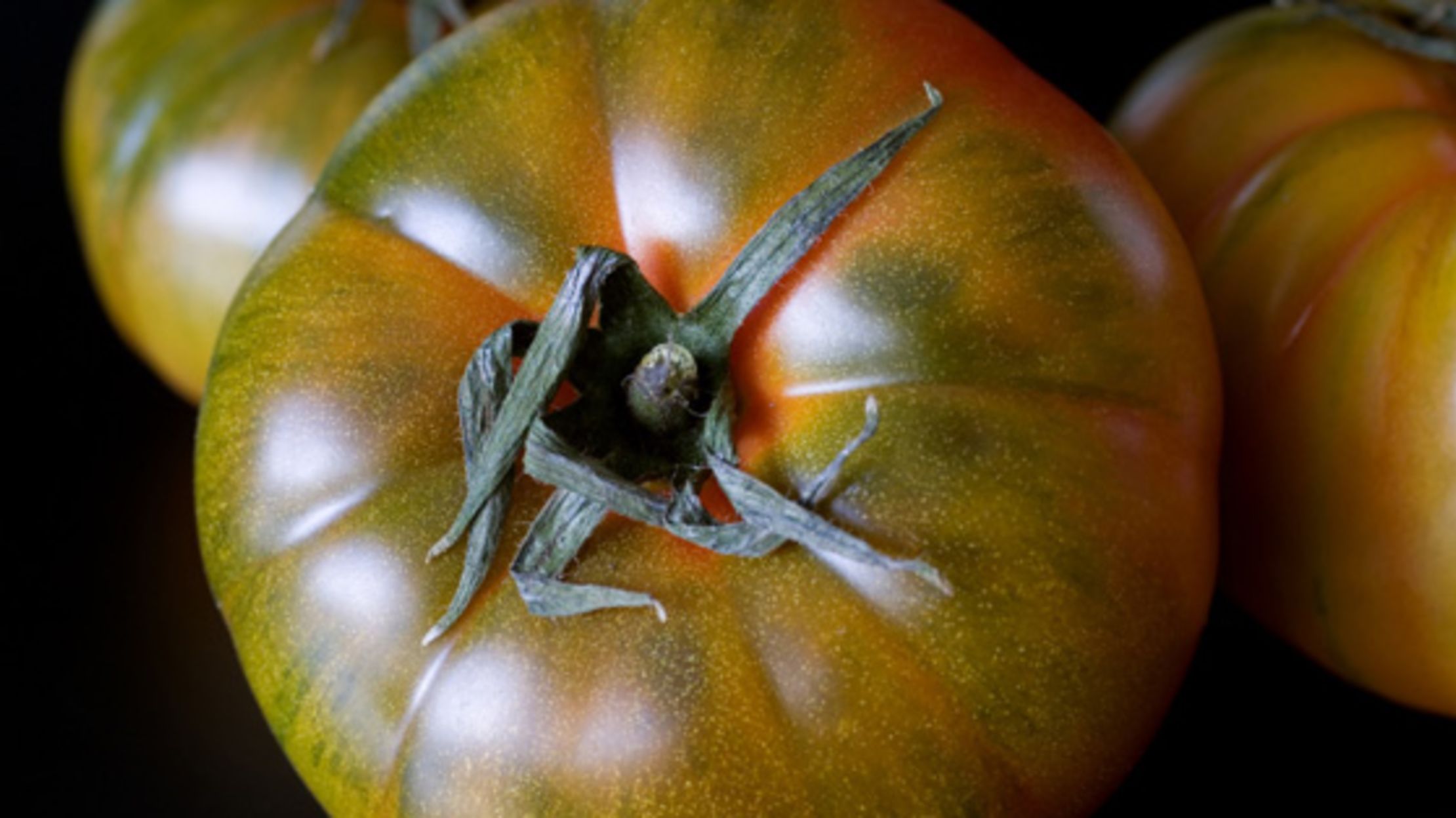 Why Do Tomatoes Change Color as They Ripen? | Mental Floss