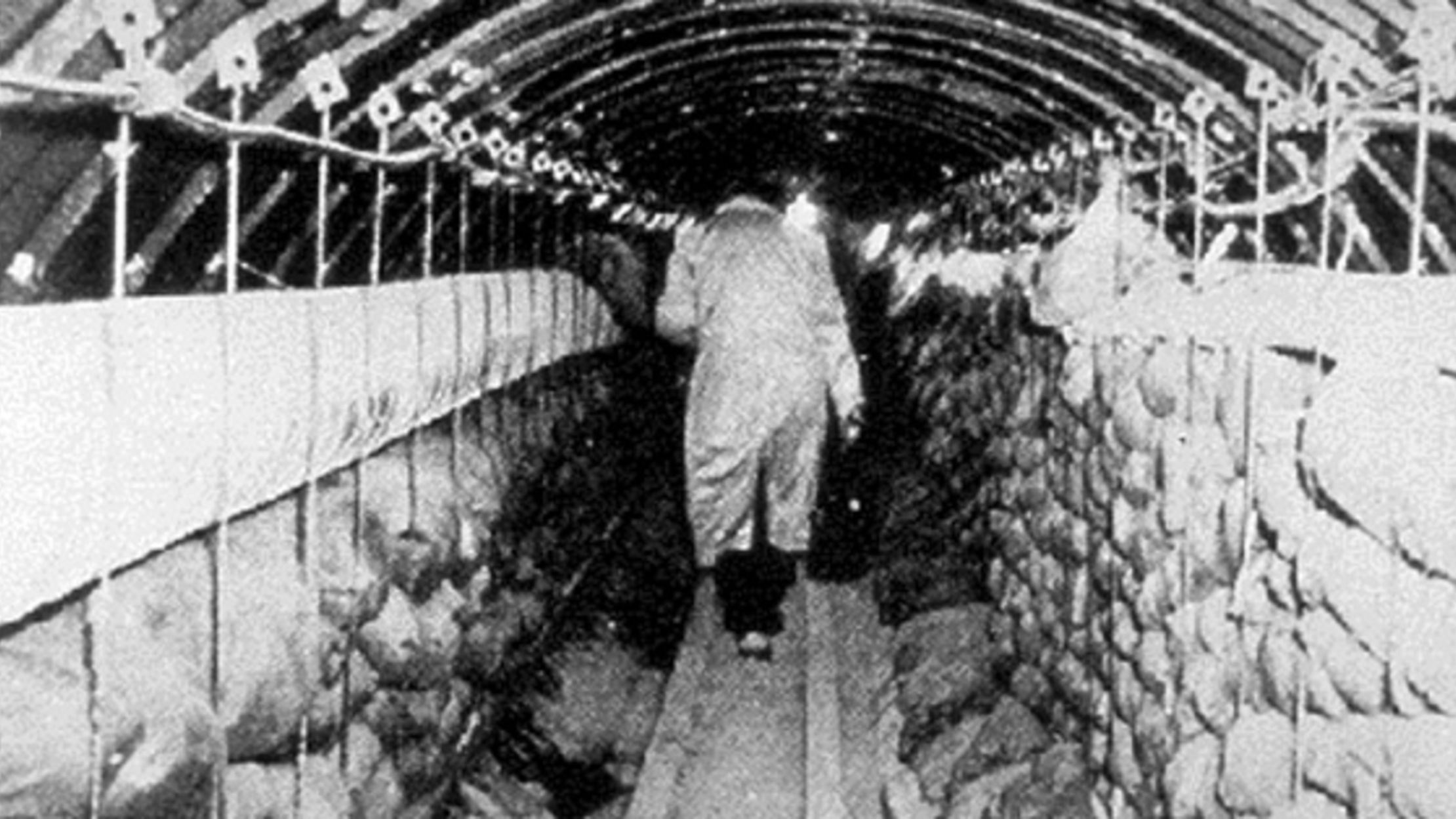 5 Spy Tunnels From Around The World Mental Floss