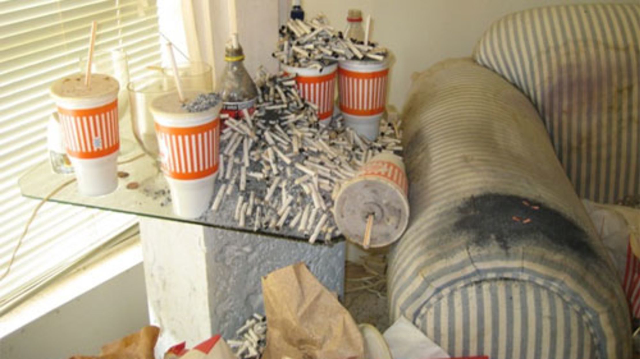 No Place Like Home Truly Disgusting Houses Mental Floss