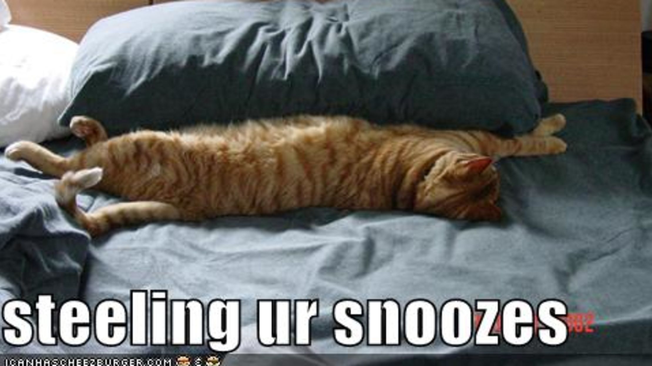 How You Put Yourself To Sleep Mental Floss how-you-put-yourself-to-sleep-mental-floss