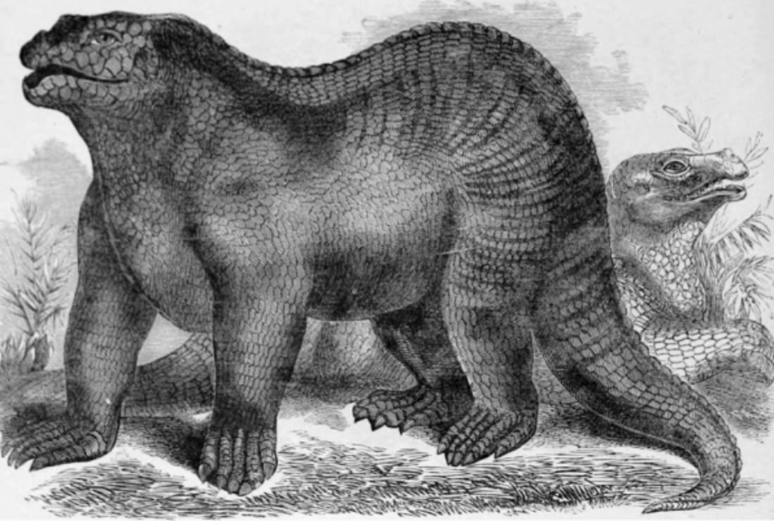 How our perception of the Iguanodon had changed over the years!!! : r ...