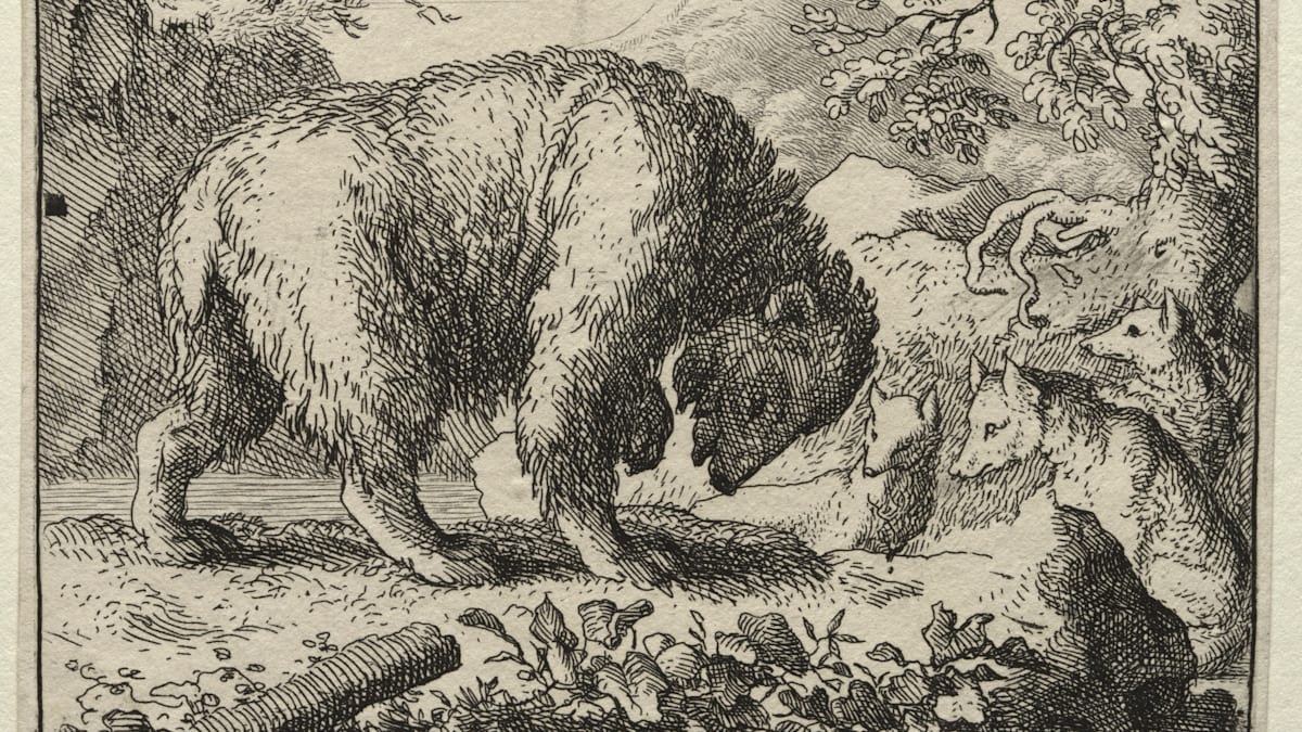 bear with mange cryptid