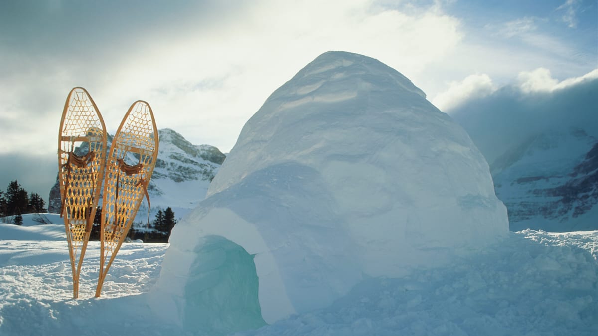 iglooing trend