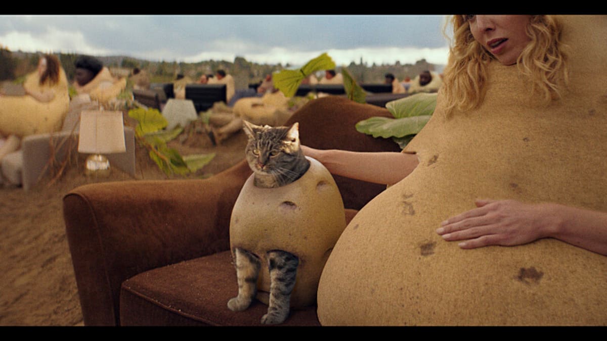 pluto tv couch potato