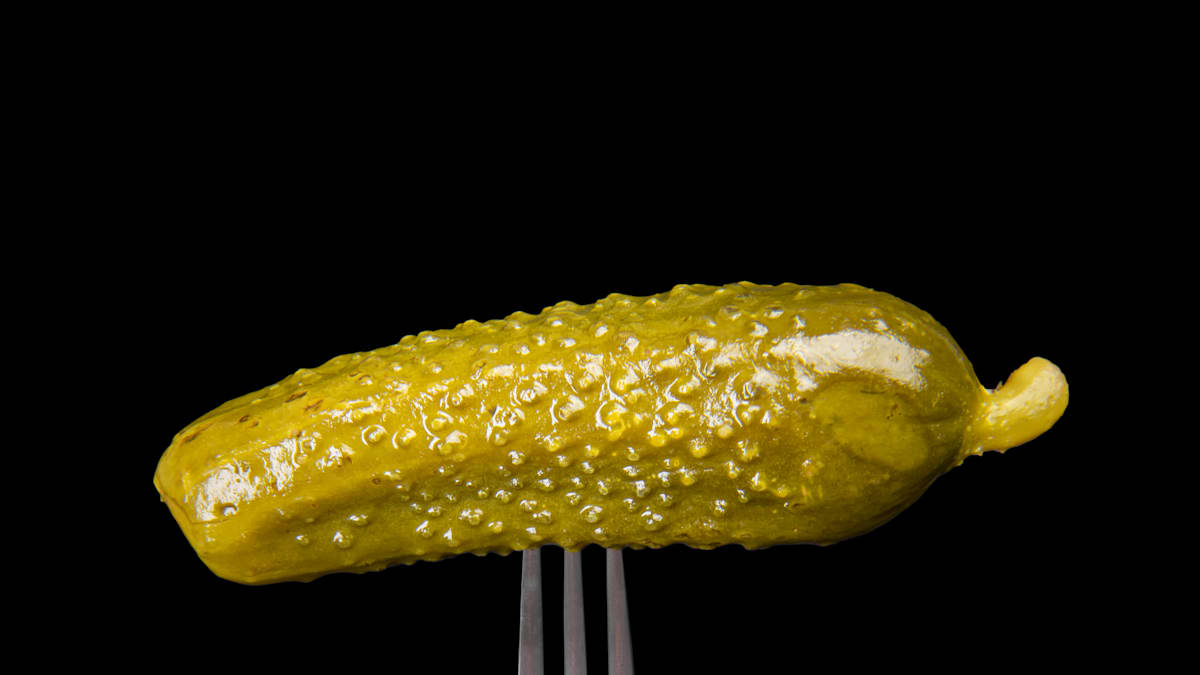 why do pickles squeak