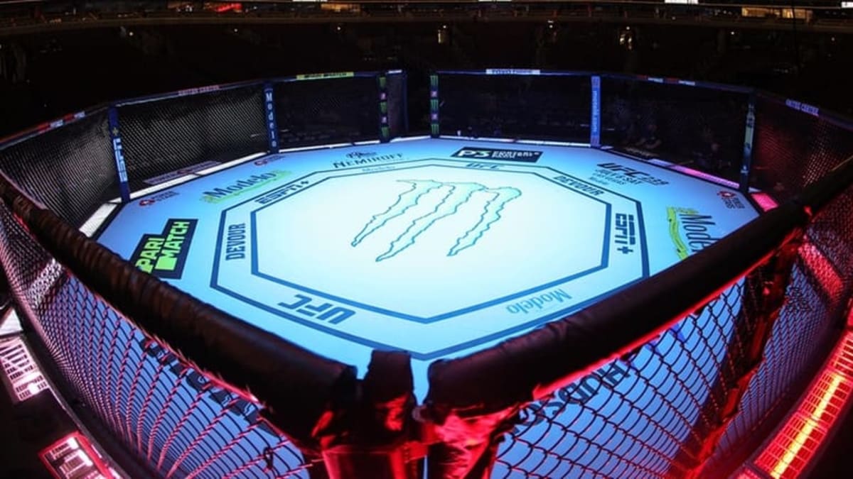 empty ufc octagon