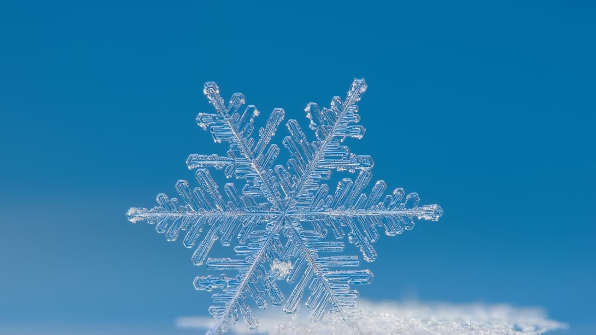 why is snowflake dropping