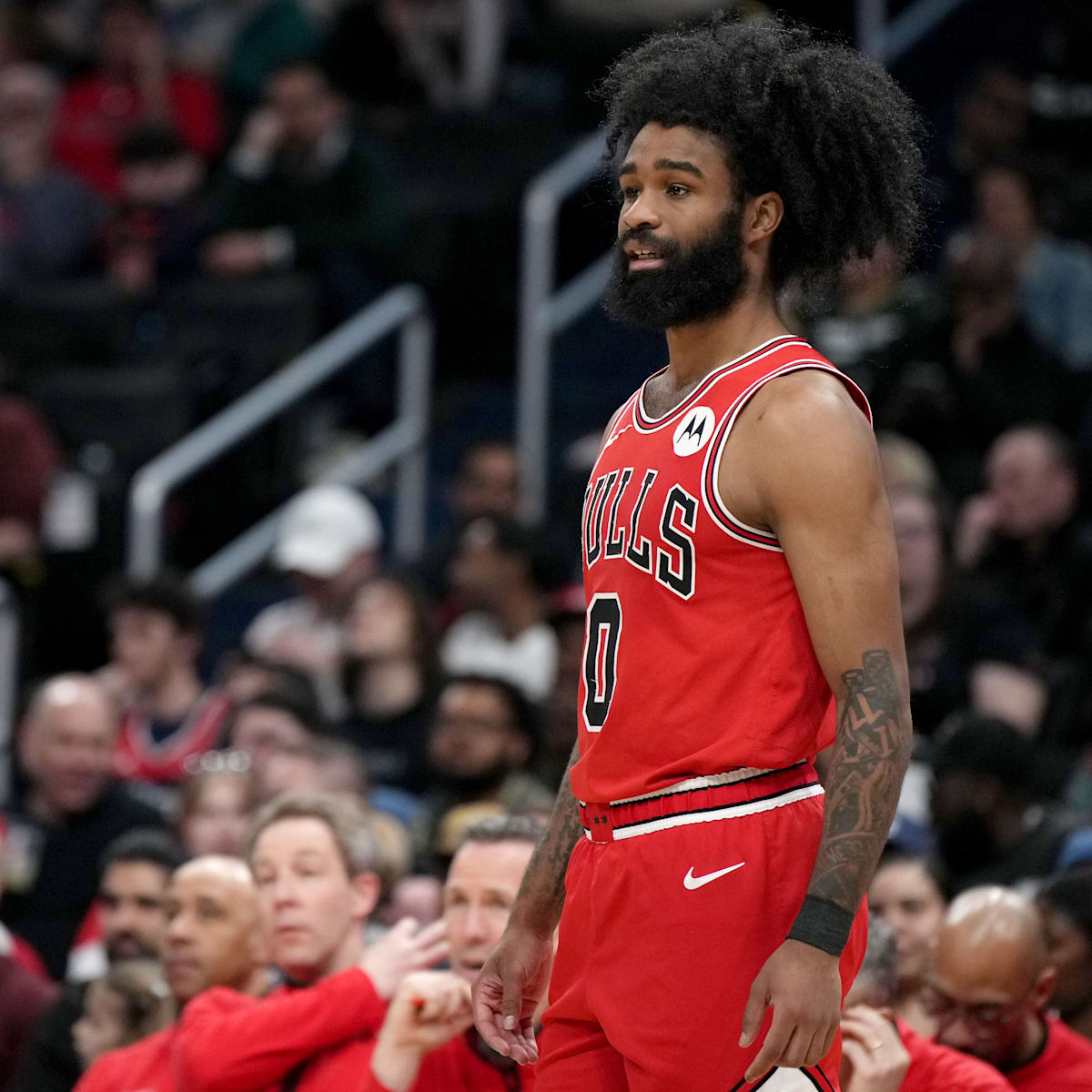 coby white player comparison