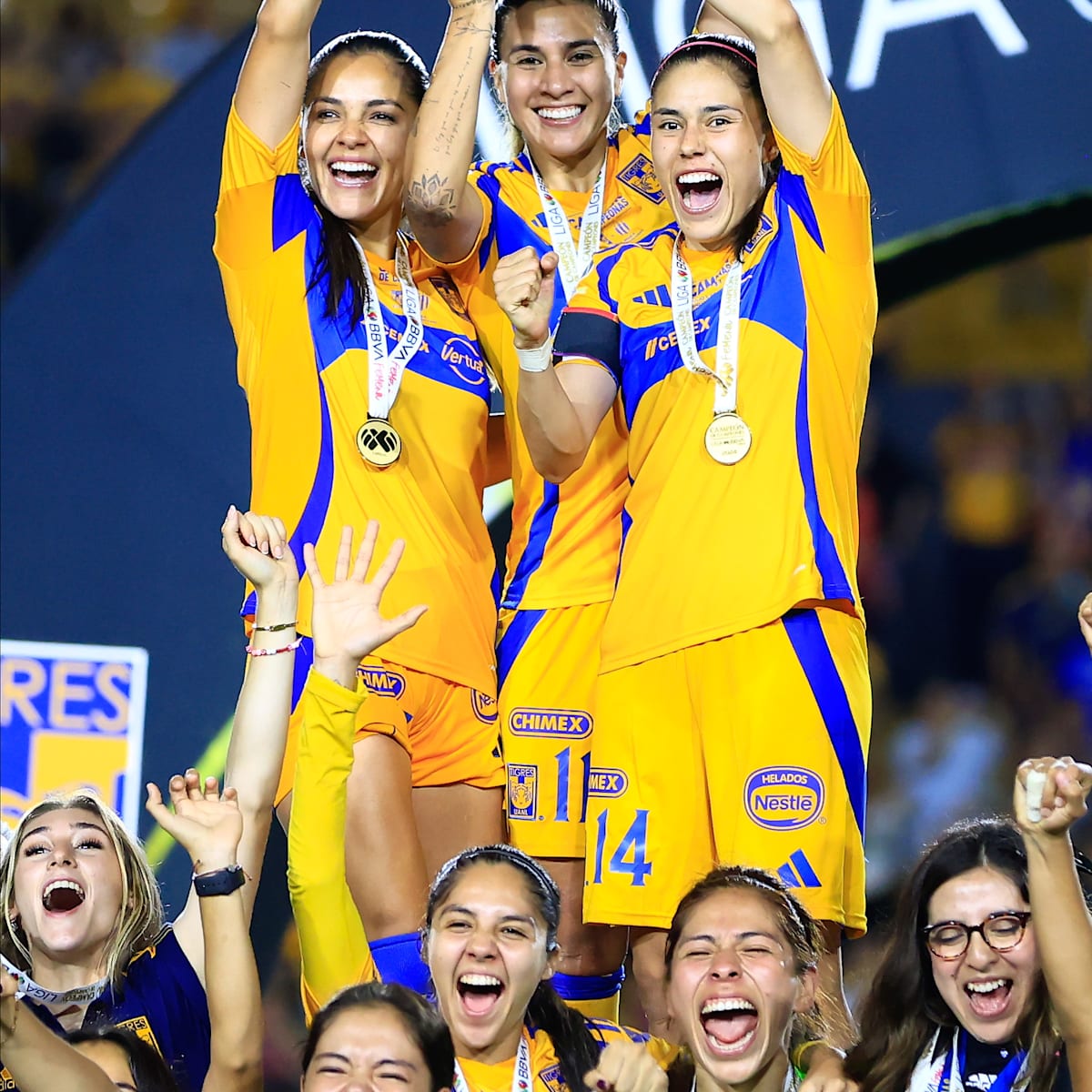 nayeli rangel tigres