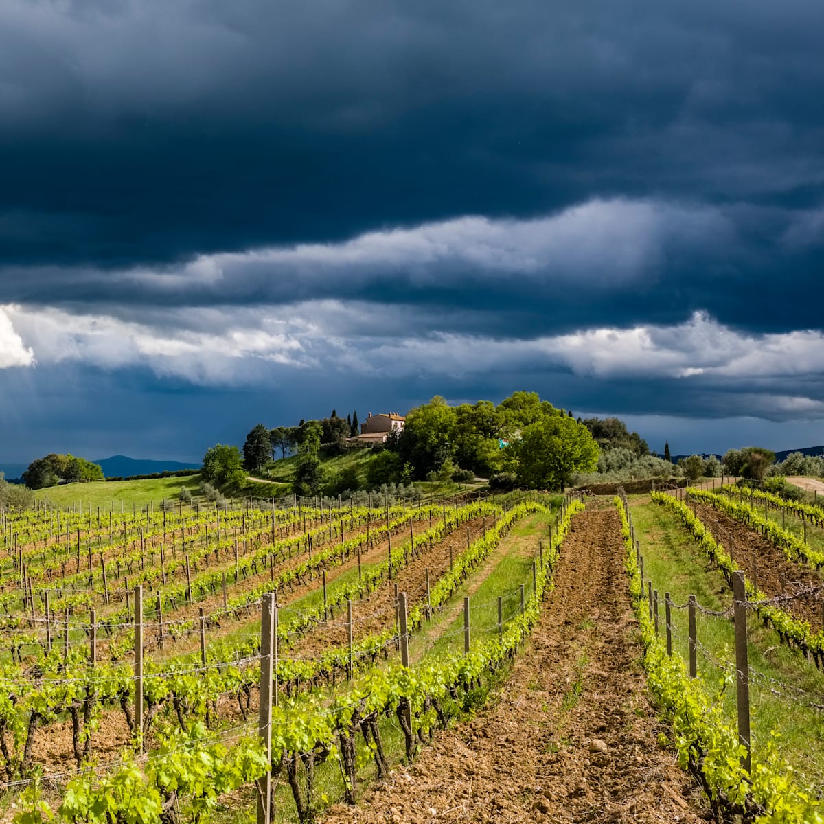 isolated thunderstorms artinya