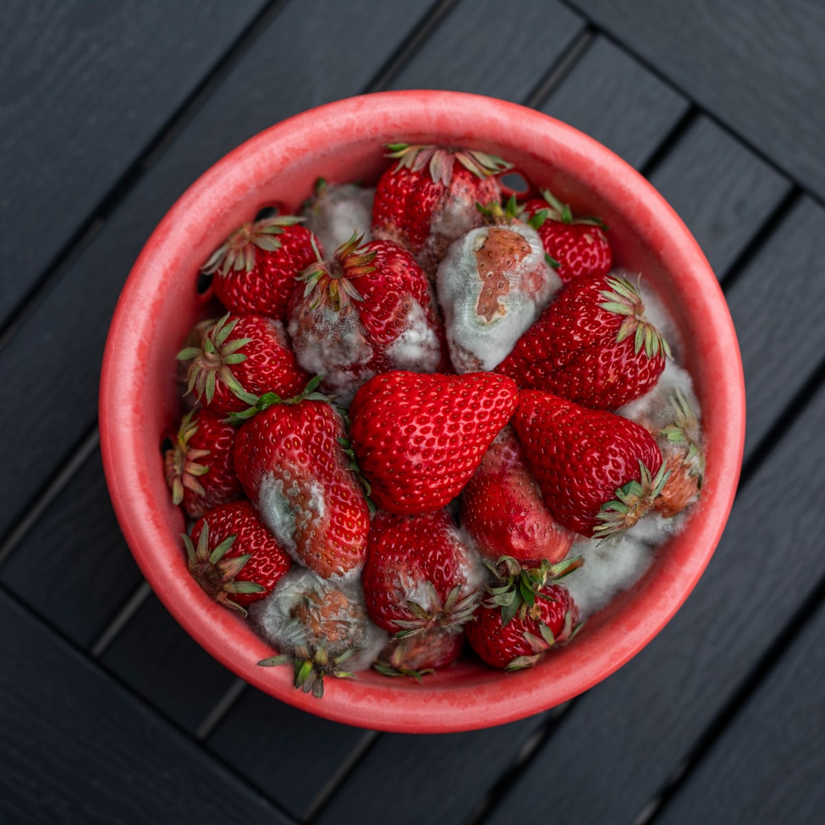 one strawberry has mold