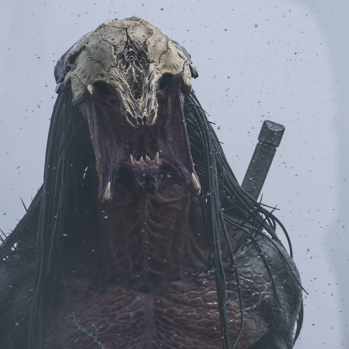 strongest predator ever