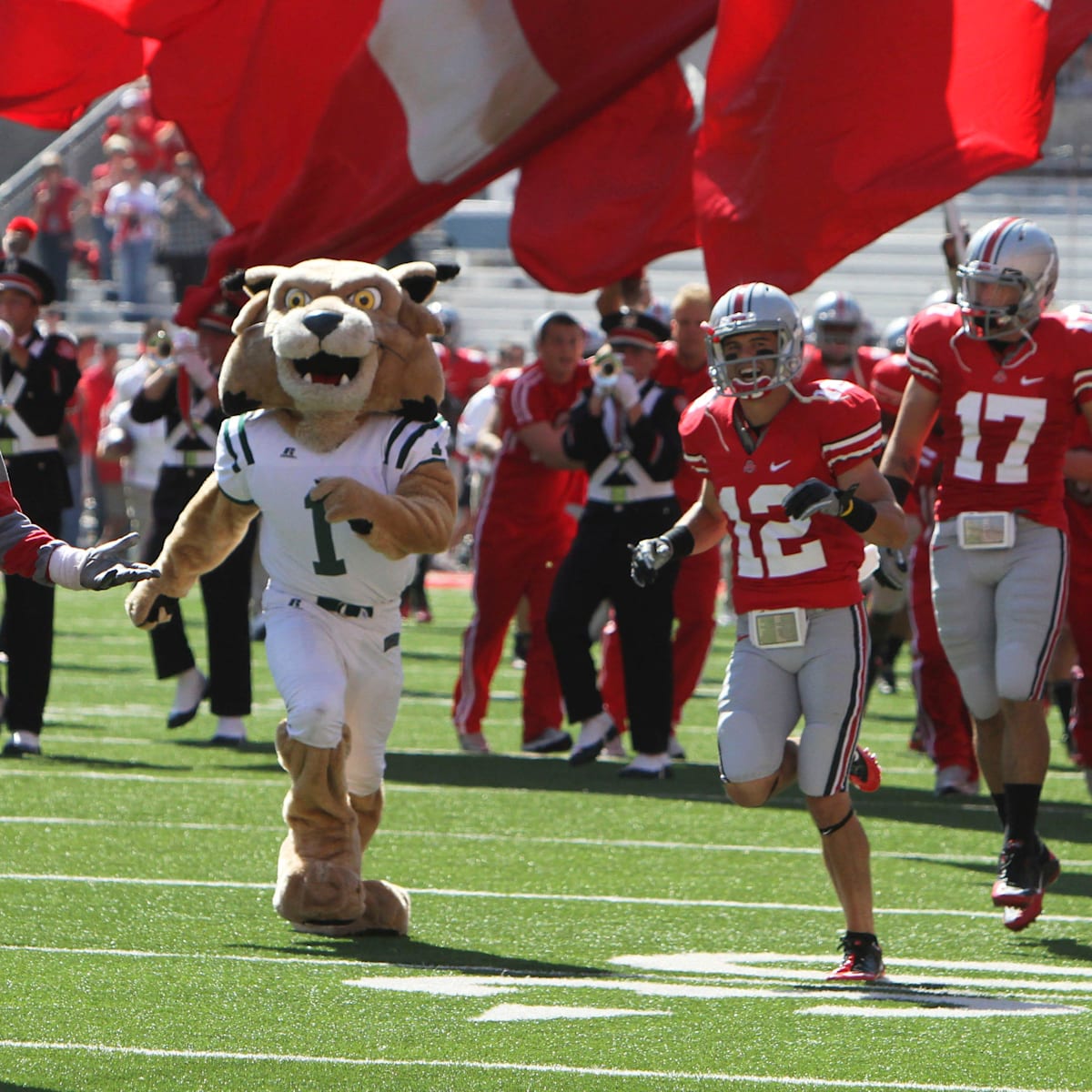 bobcat attacks brutus