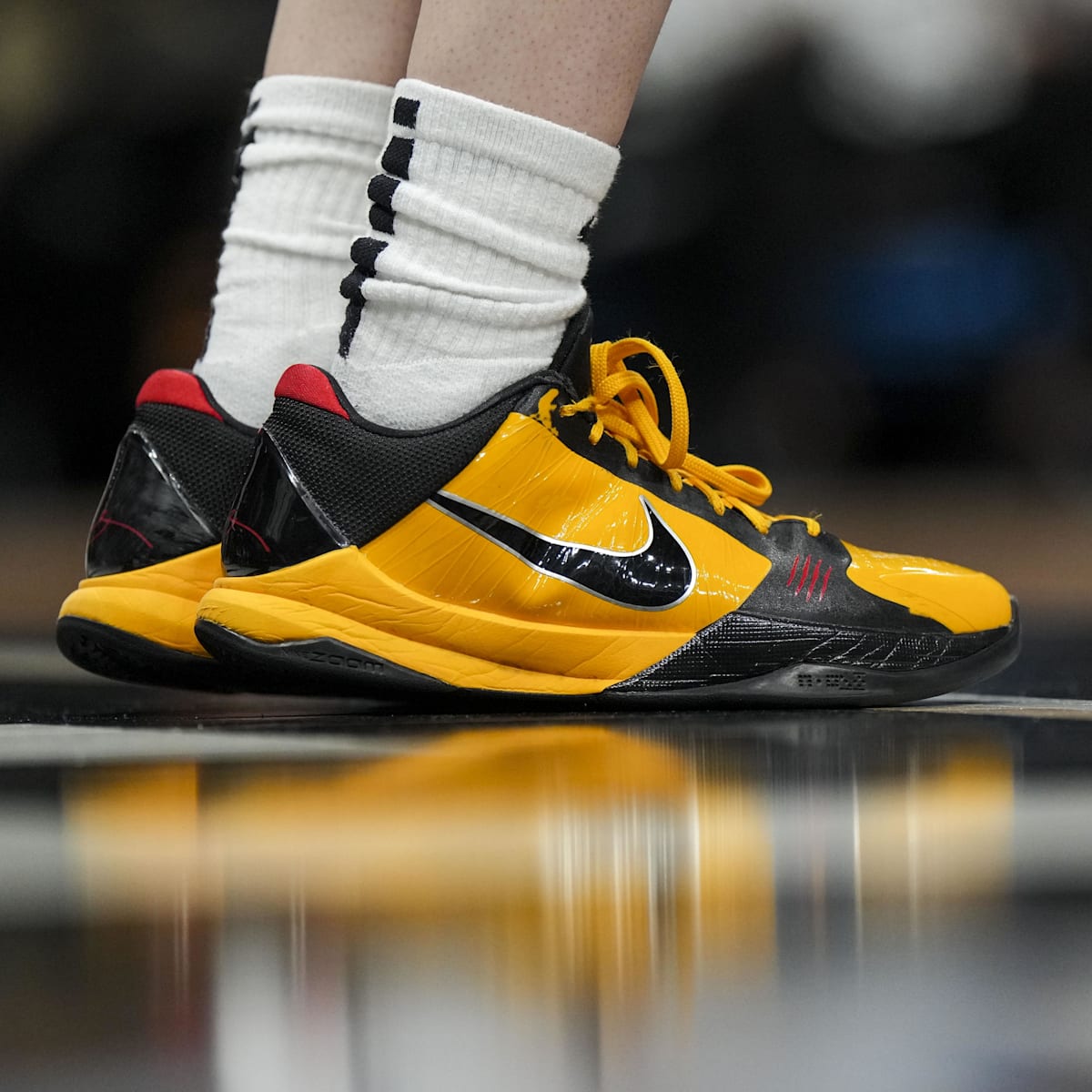 kobe year of the snake nike