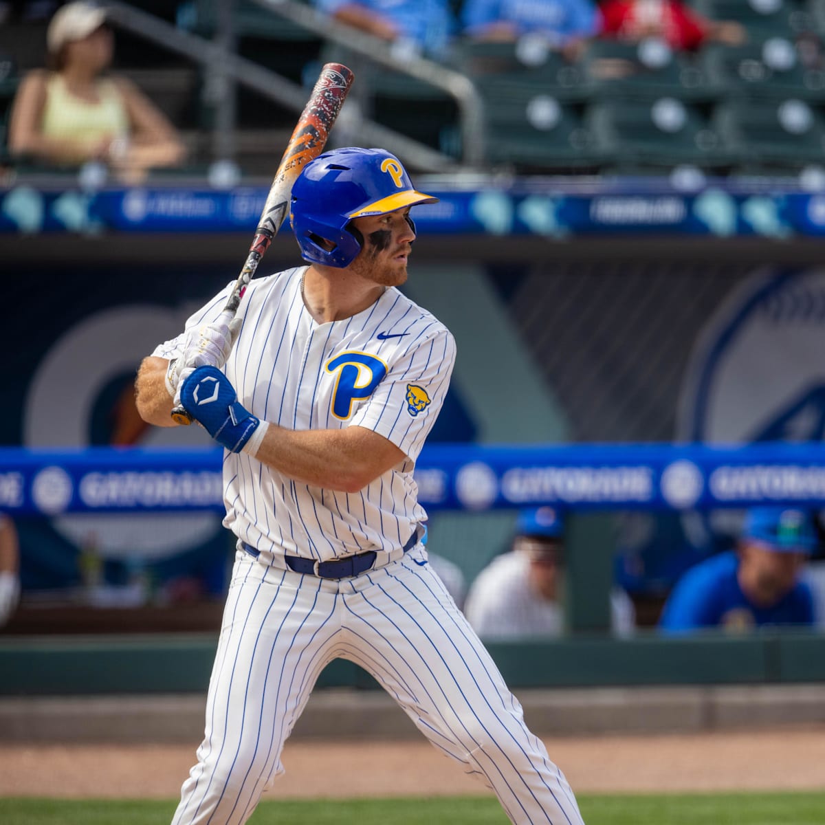 where does pitt baseball play