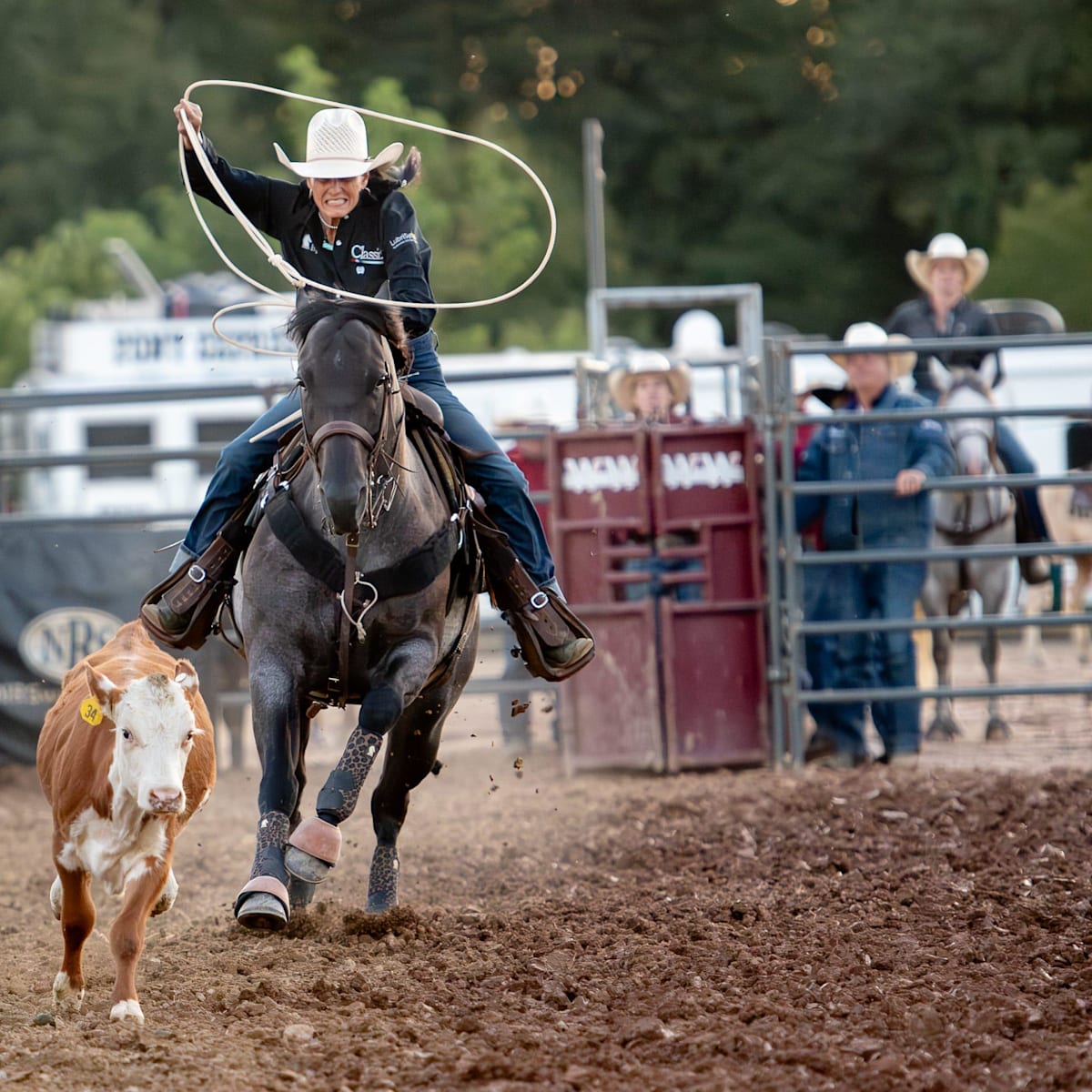 breakaway roping