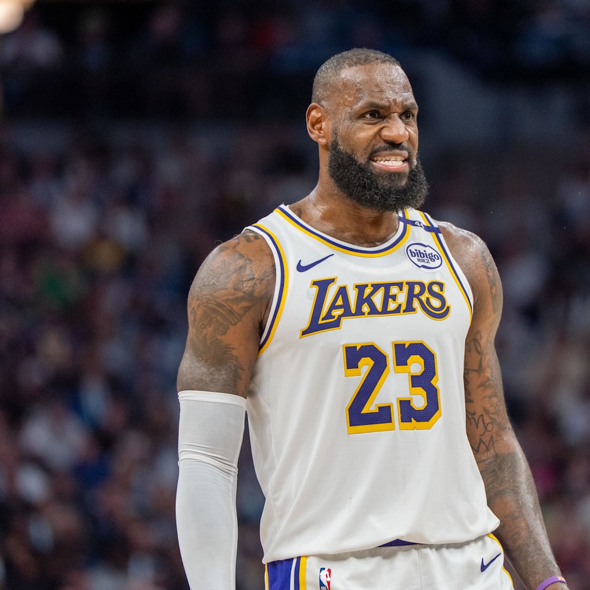 lebron james practice facility