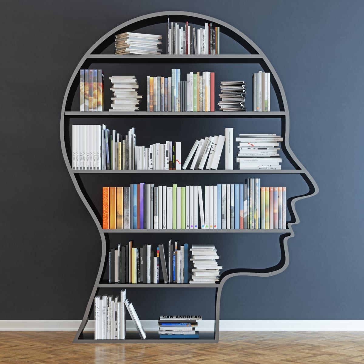 shelf shelves difference