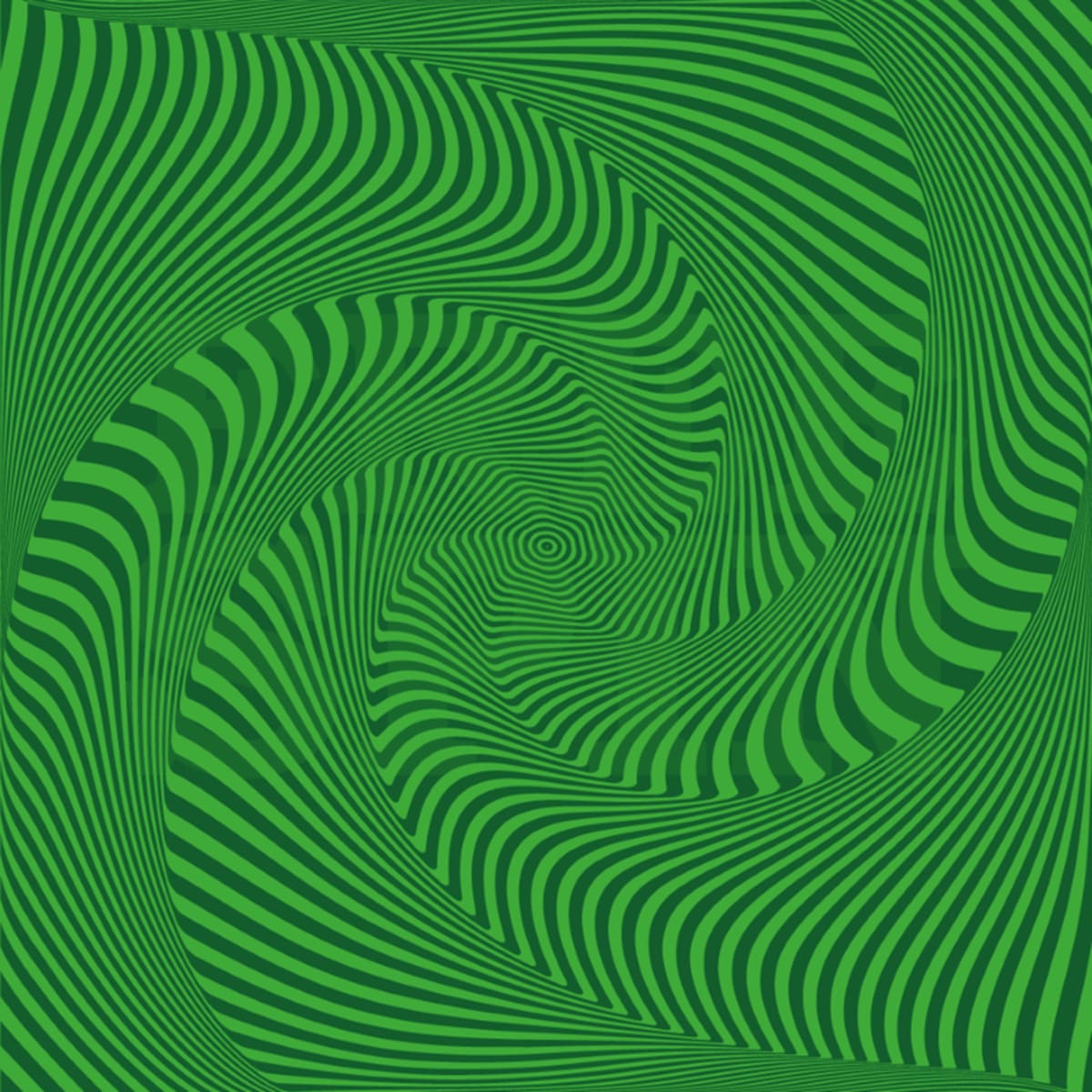 optical illusion hidden