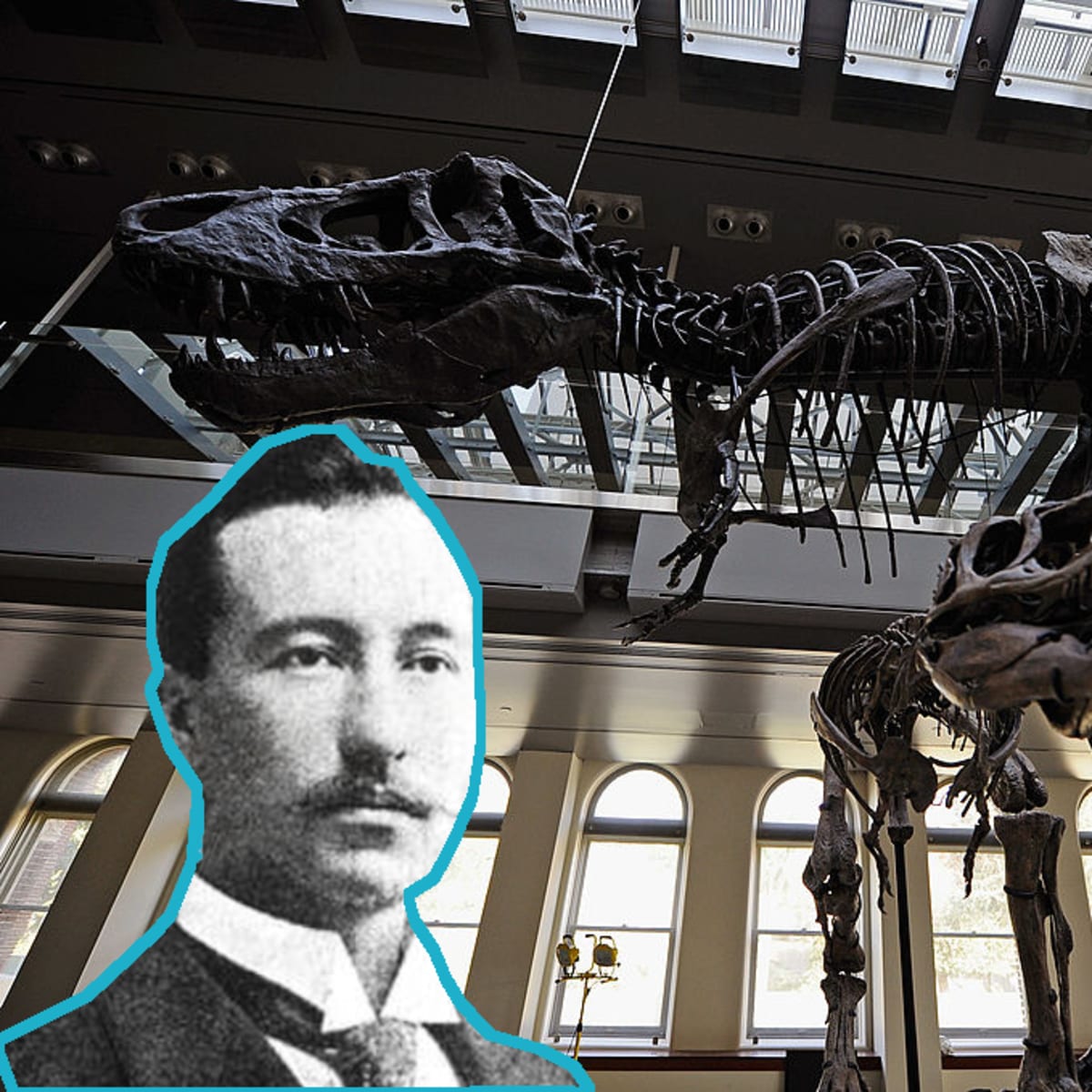 rex brown distribution