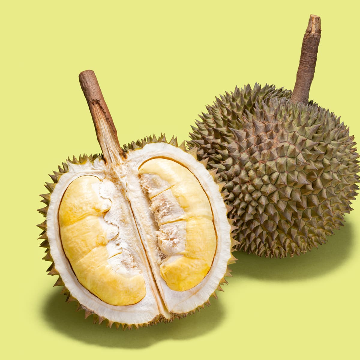 durian smells like