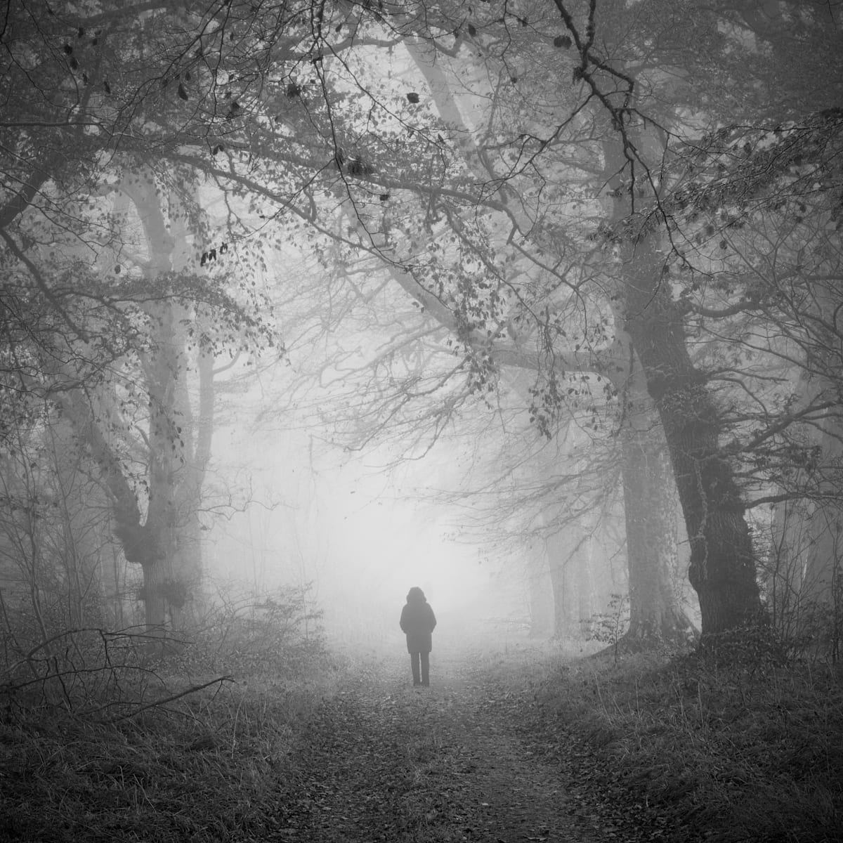 bennington triangle solved