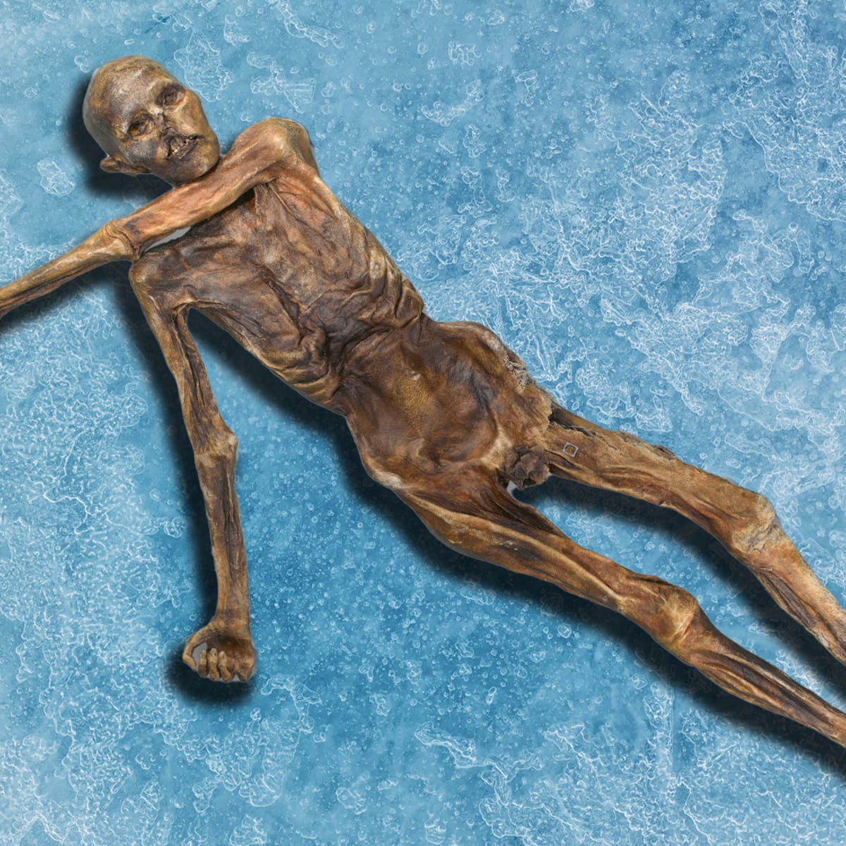 otzi dna