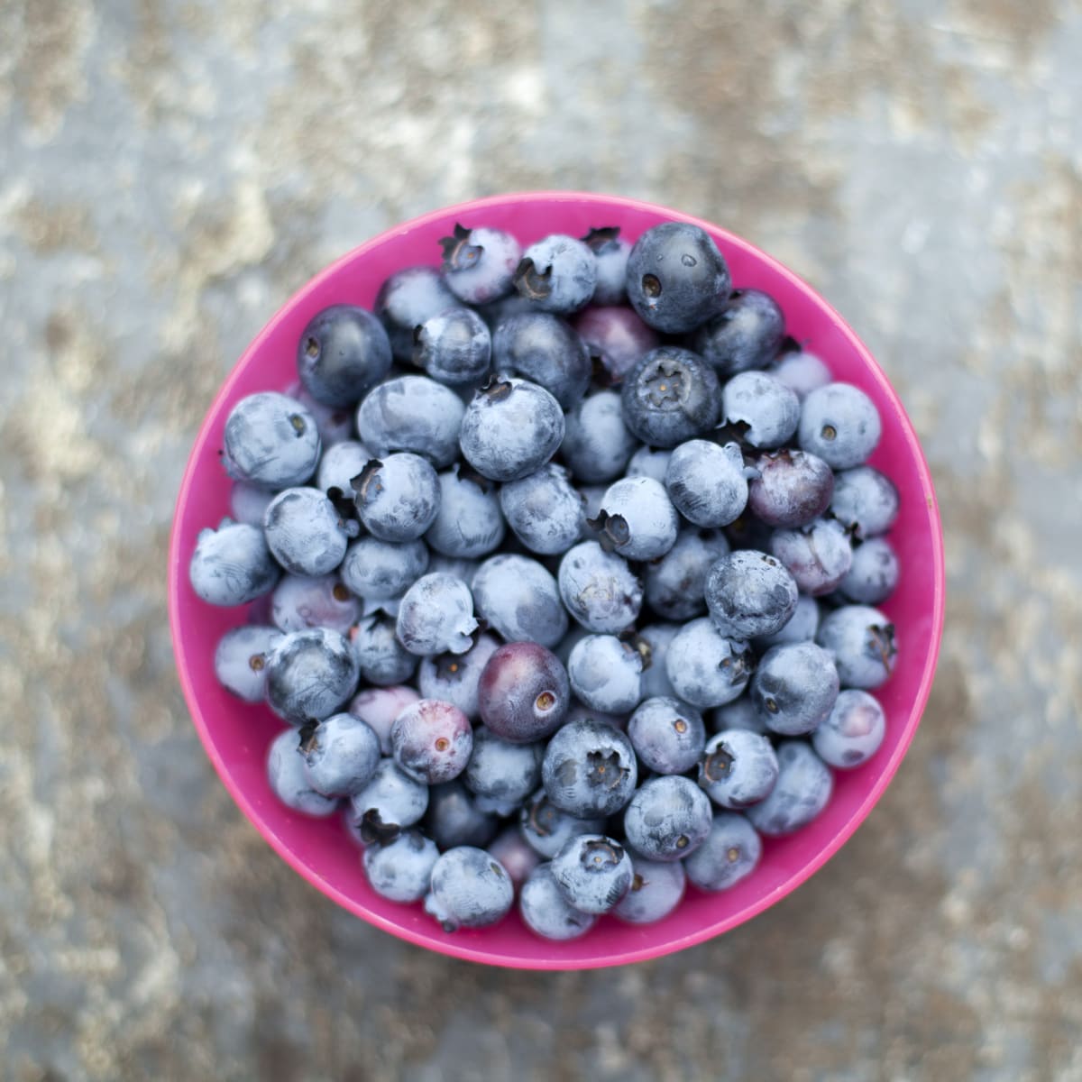 blueberries description