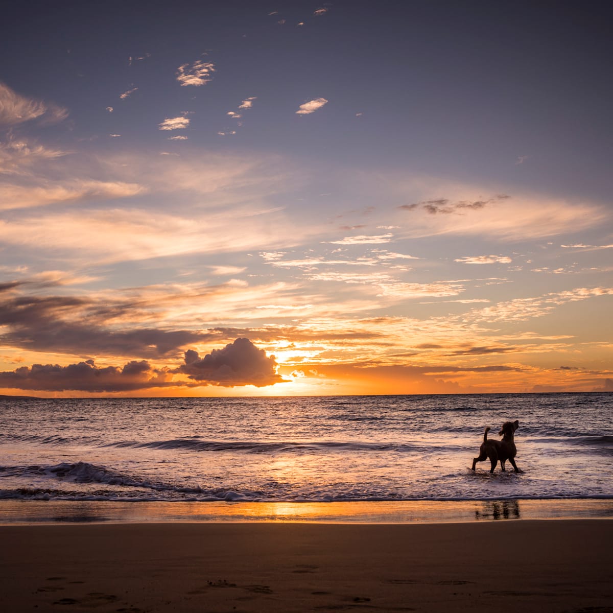perfect beach sunset