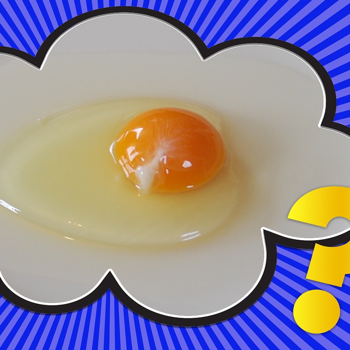 white string egg yolk