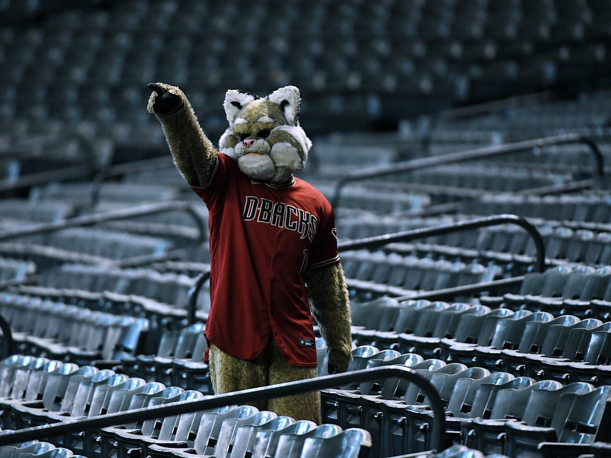 diamondbacks mascot baxter