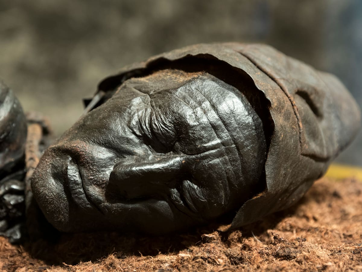 where are peat bogs found