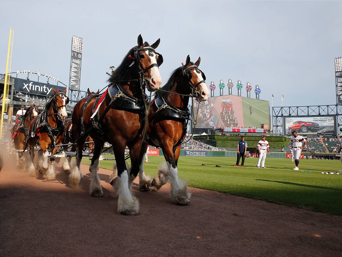 FROM THE DUST OF DAKOTA TO THE BRIGHT LIGHTS OF THE SUPER BOWL! Meet ...