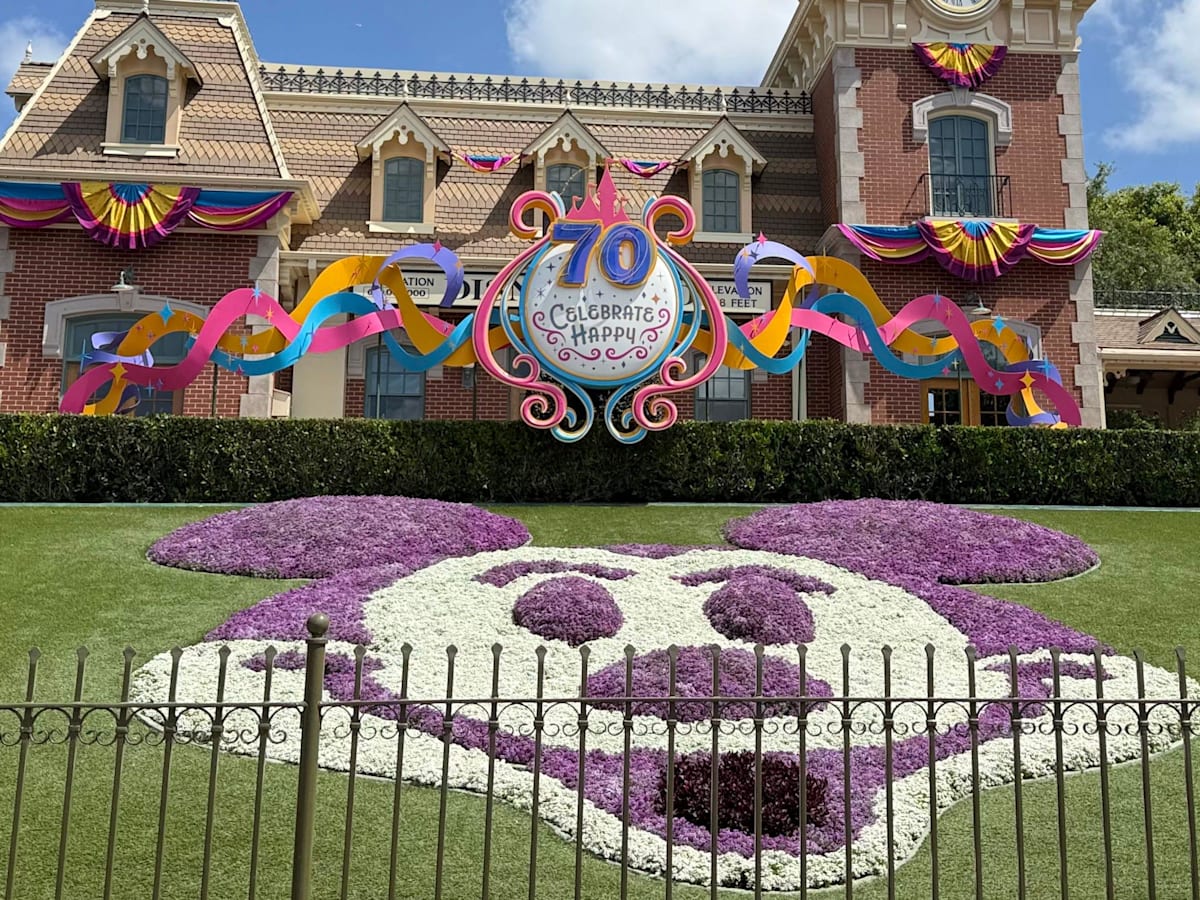 gavin doyle mickey visit