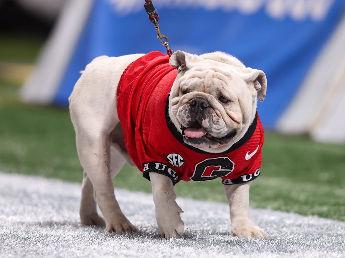 uga 3