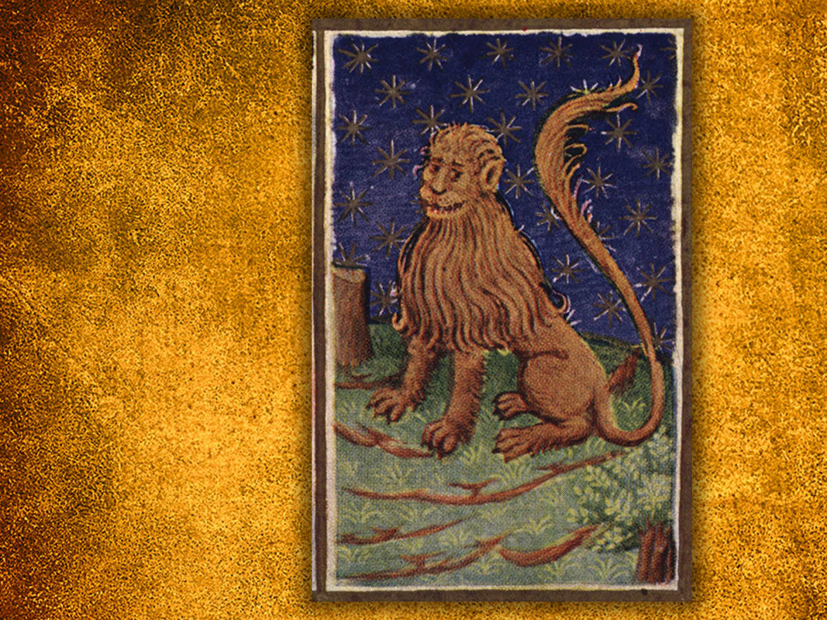 how to draw england lion