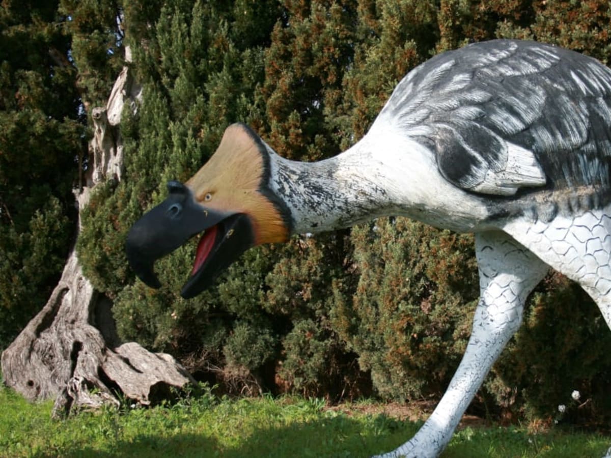 largest terror bird