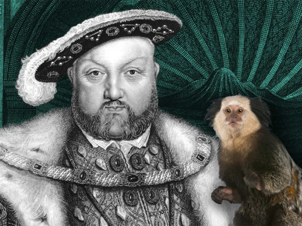 henry viii beard