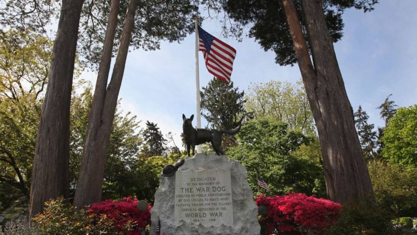 Military dog memorials to visit this Veteran’s Day
