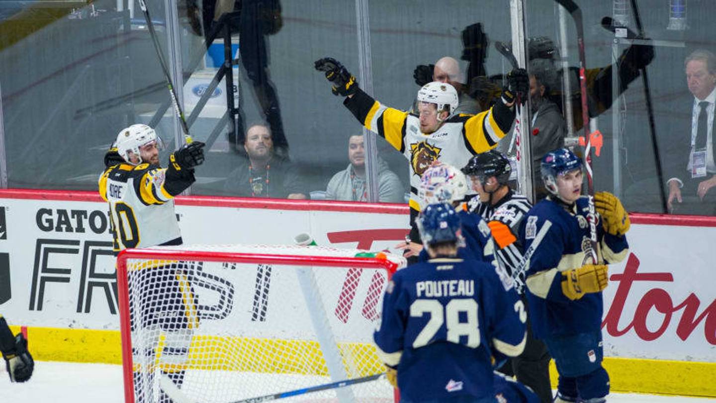Hamilton Bulldogs: Which overagers will be back?