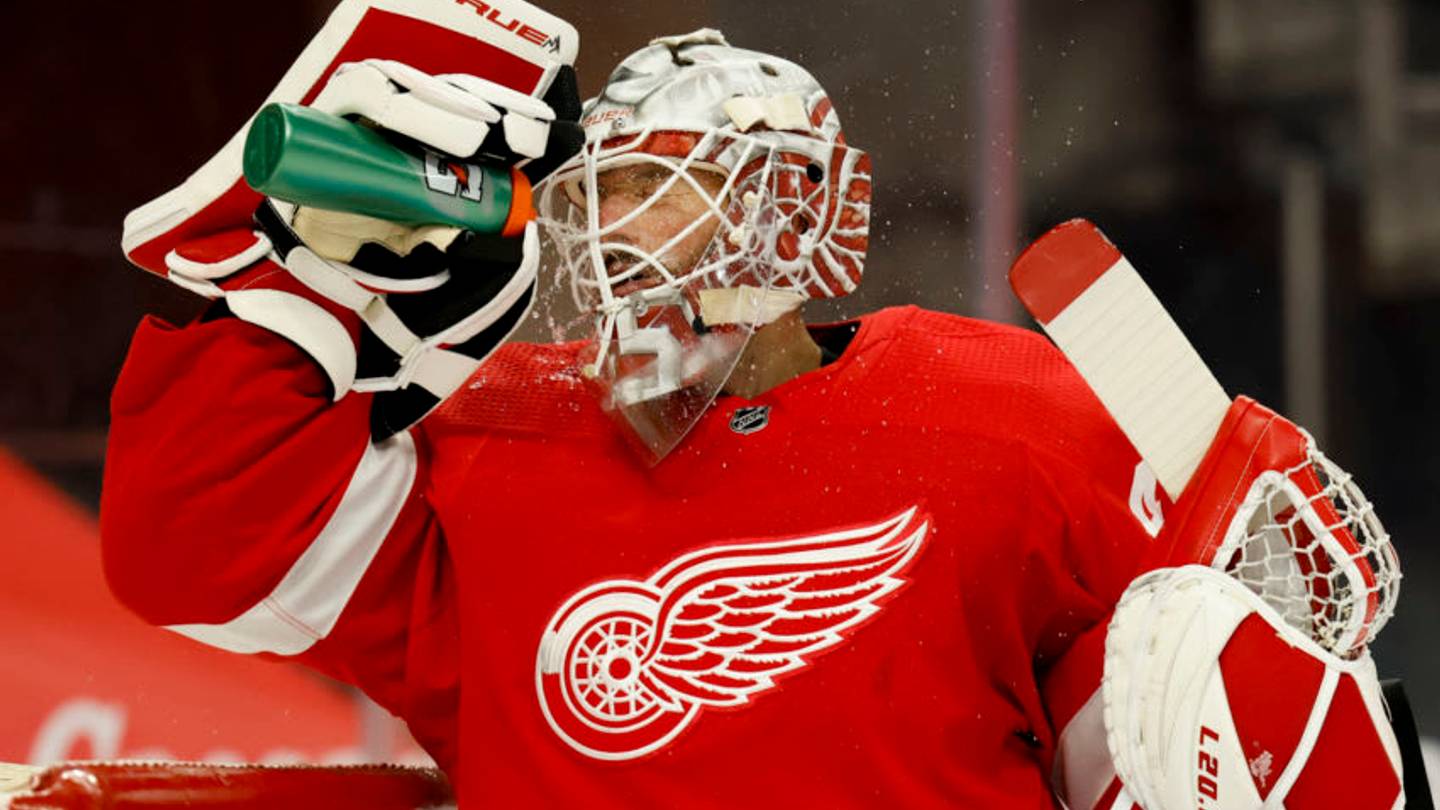 Red Wings: 10 Things to Hope for in the Final 10 Games