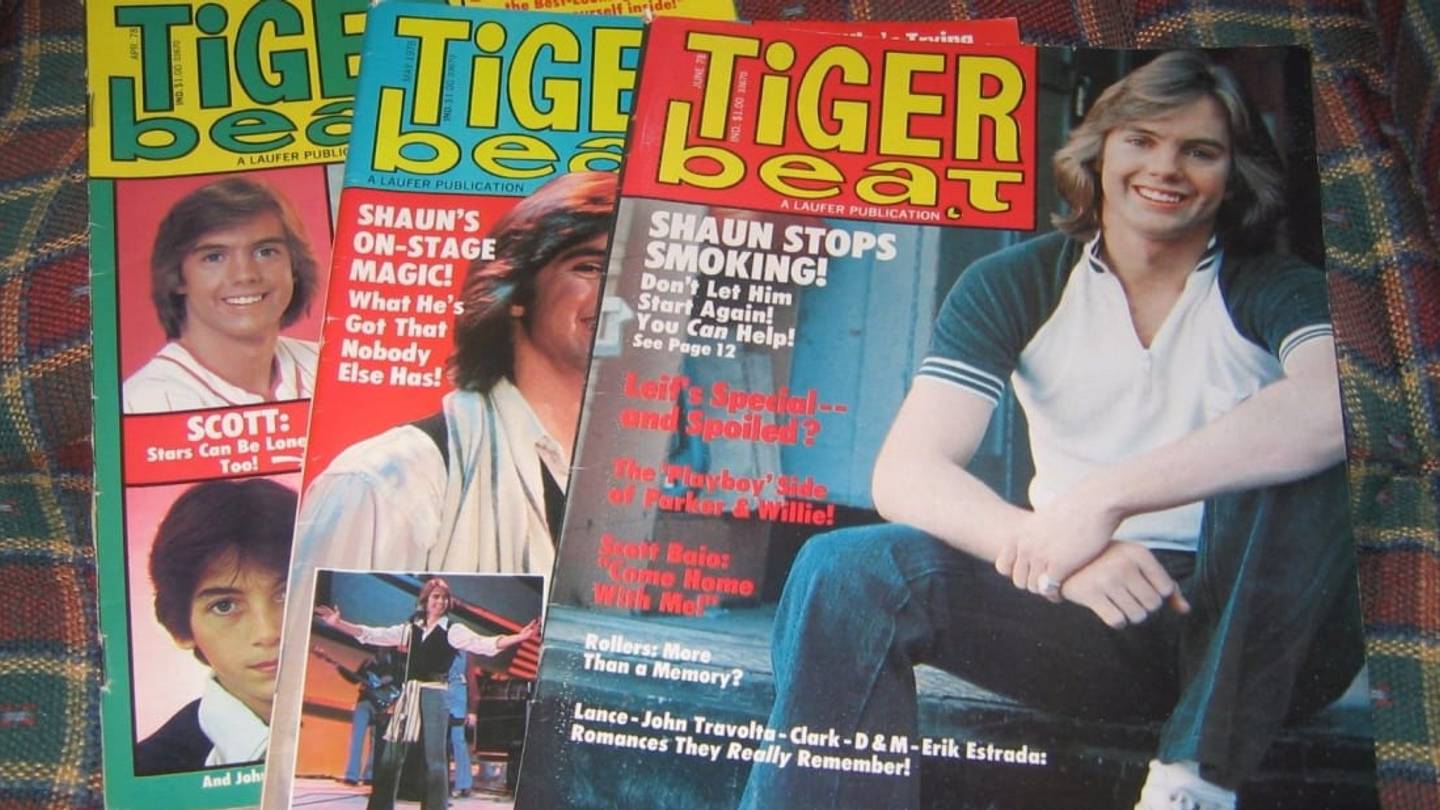 A Dreamy History of Teen Idol Magazines, Just for YOU!