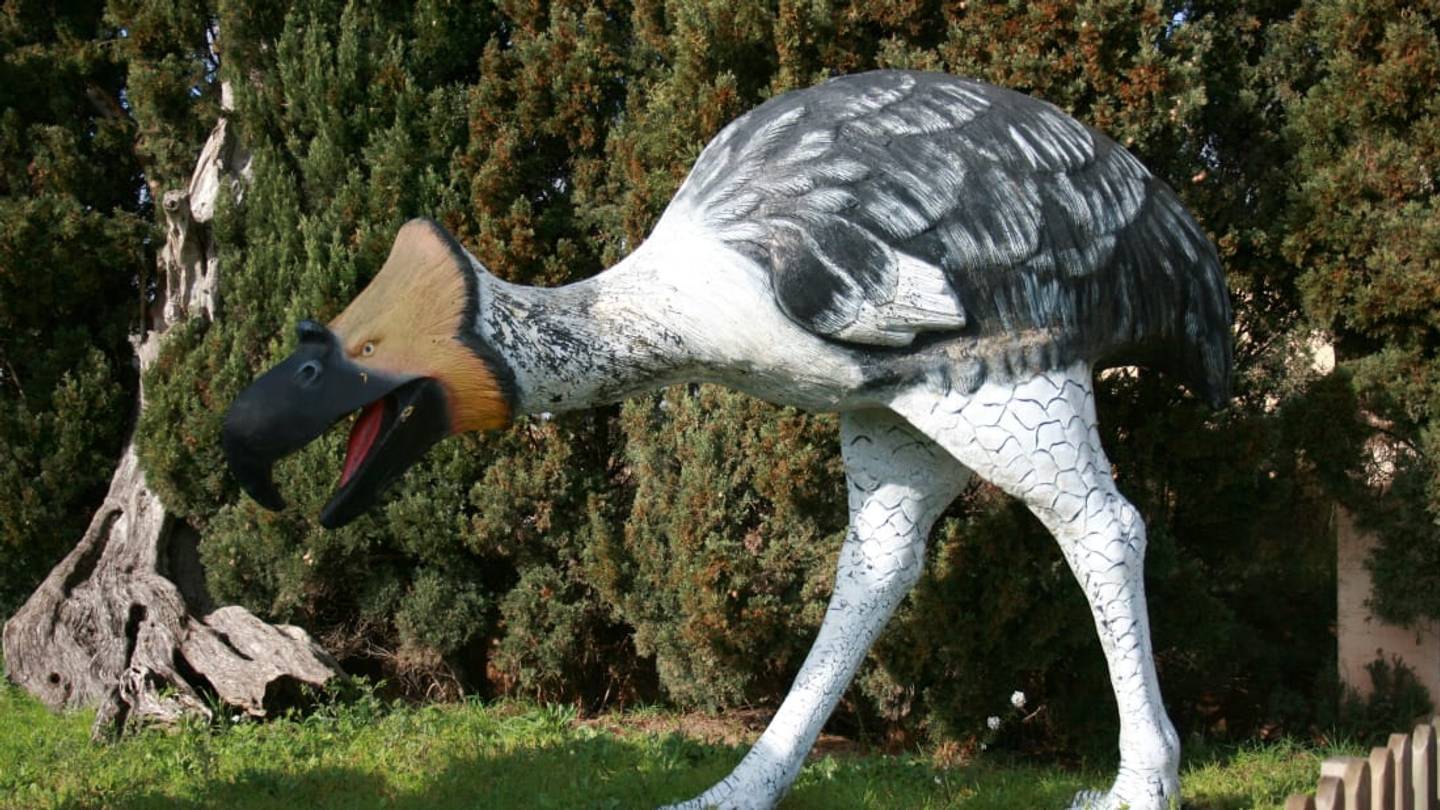 Meet the Terror Bird, a Bone-Smashing Beast That Once Roamed the Americas
