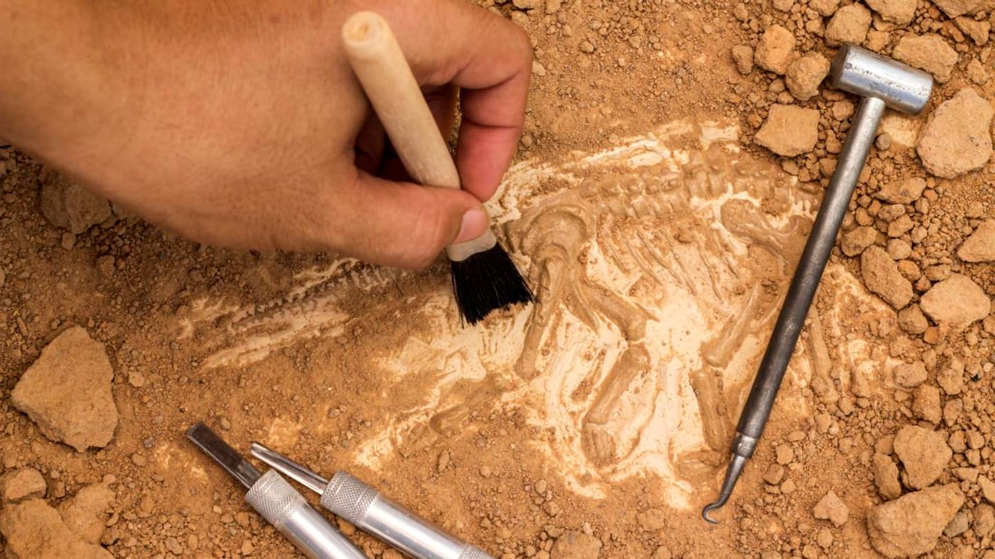 Apply Now to Join an Archaeological Dig at Colorado's Magic Mountain
