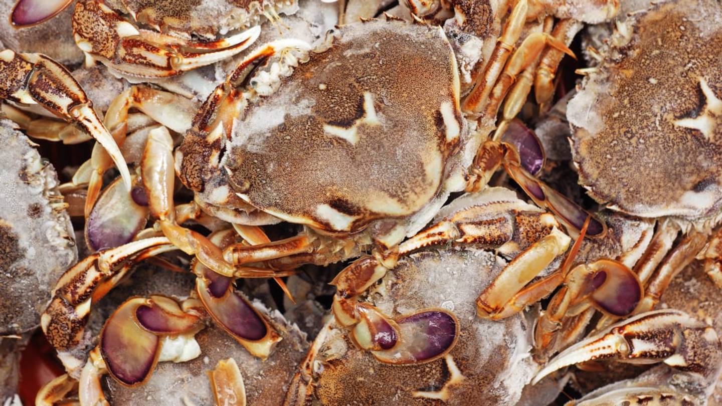 Your 'Plastic' Wrap Could Soon Be Made from Crab Shells and Wood Pulp